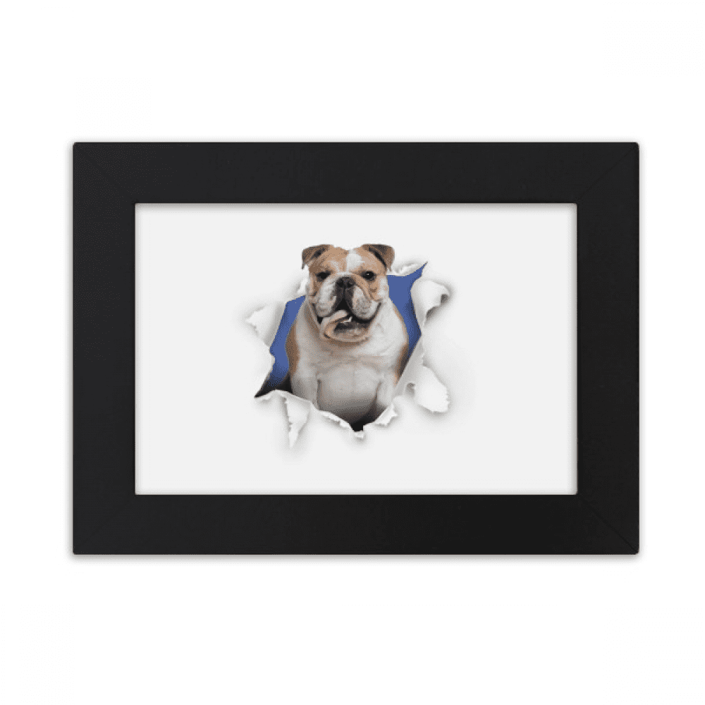 Damage Animal Paper Pekingese Desktop Photo Frame Ornaments Picture Art ...