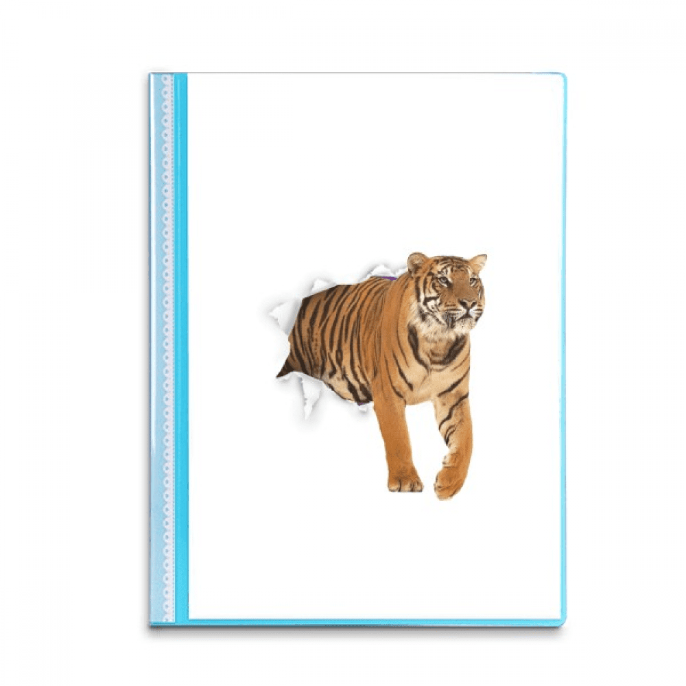 Damage Animal Paper Tigers Cats Book Sheet Protectors Portfolio Binder ...