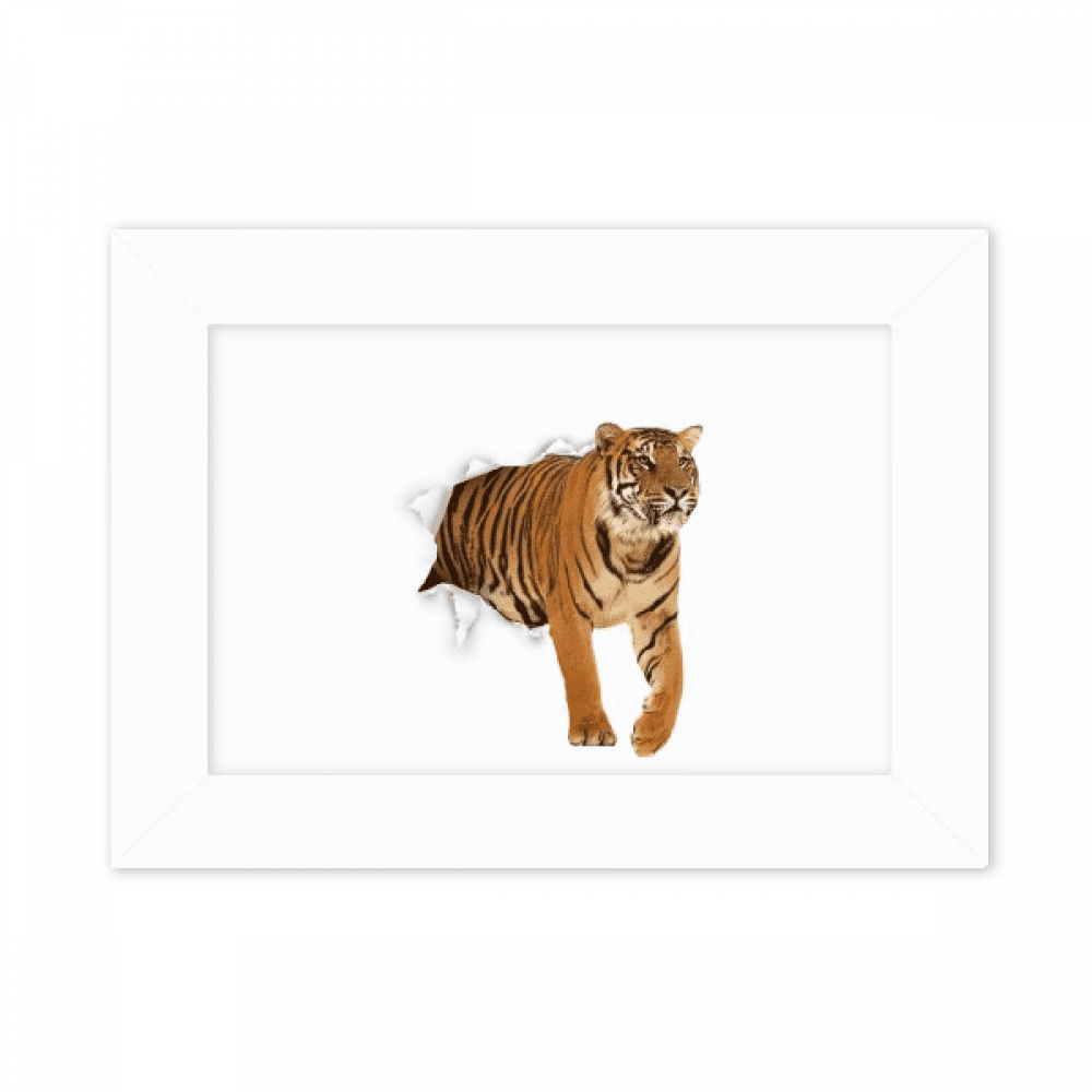 Damage Animal Paper Tigers Cats Photo Mount Frame Picture Art Painting ...
