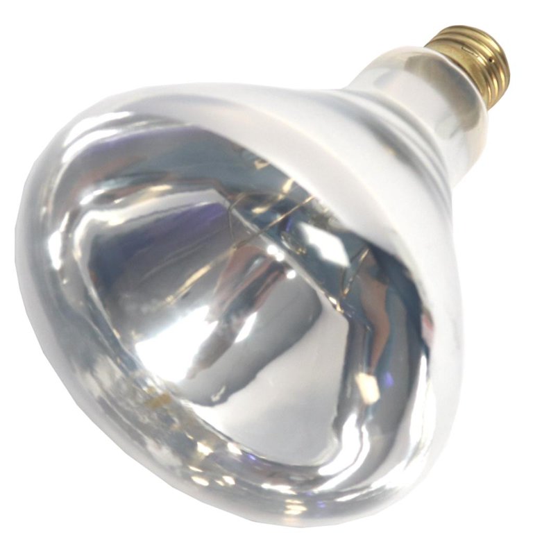 Light Bulb Safety Shields