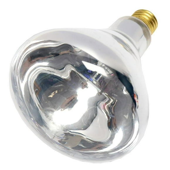 Damar Light Bulbs - Walmart.com