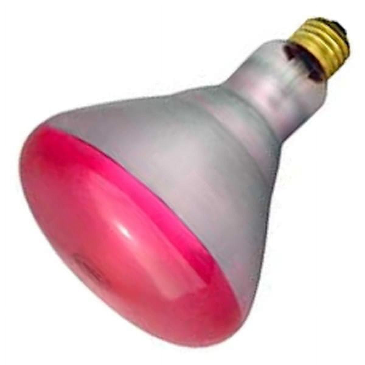 Damar 06579 - 120BR40PK 06579B Colored Flood Light Bulb - Walmart.com