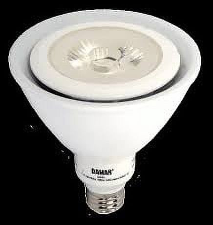Damar LED17PAR38FL / 5K / D / WL - Walmart.com