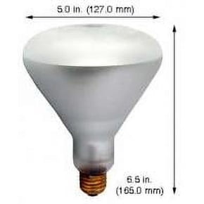 Rough Service Light Bulbs
