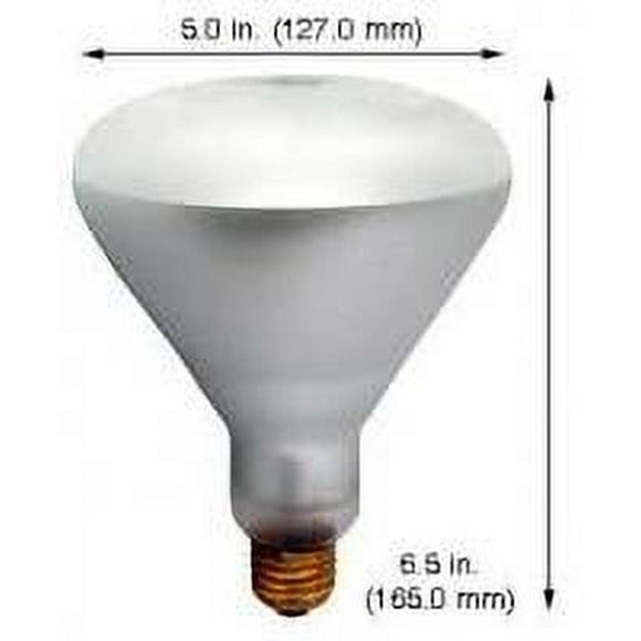 Rough Service Light Bulbs