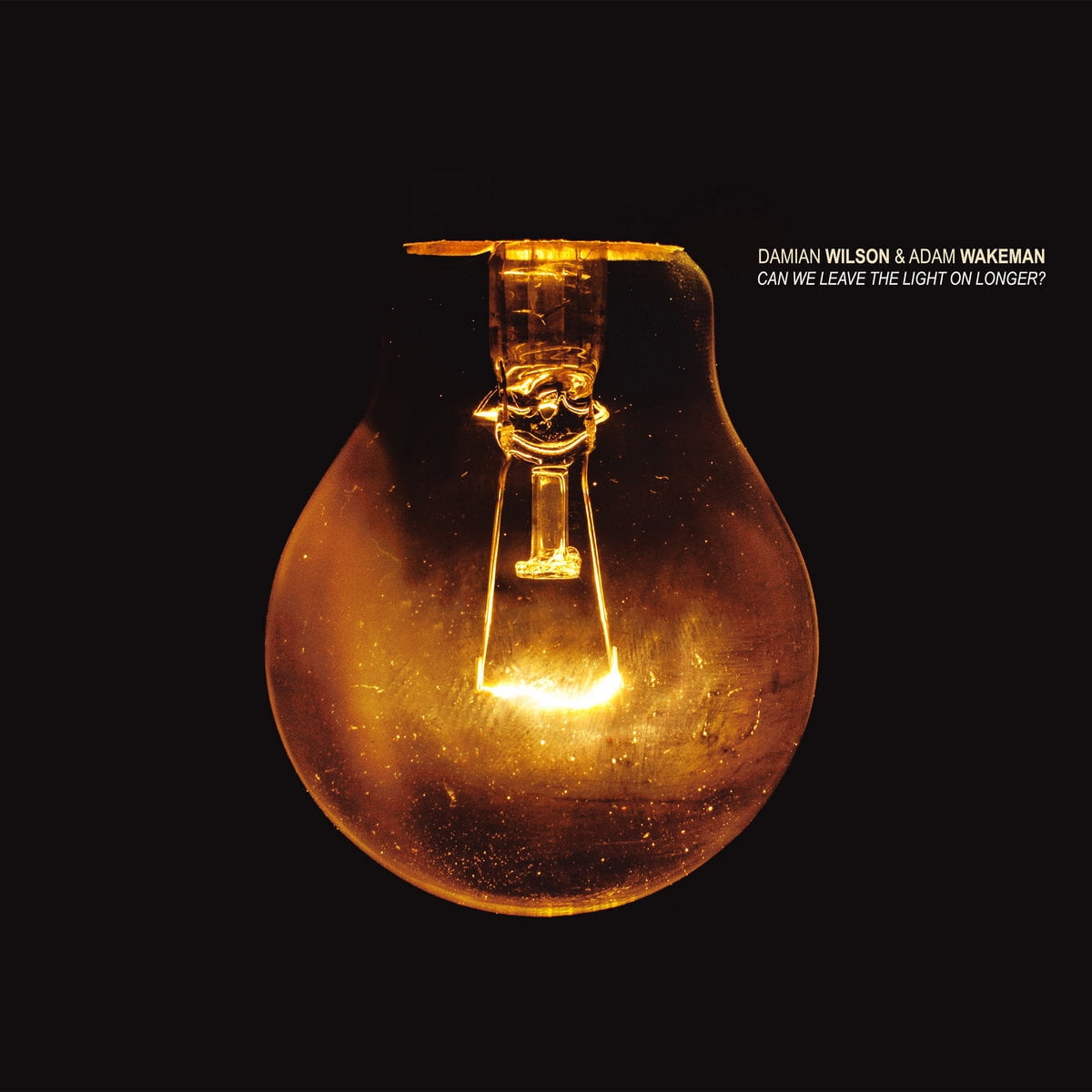 Damian Wilson & Adam Wakeman Can We Leave the Light On Longer? (CD ...
