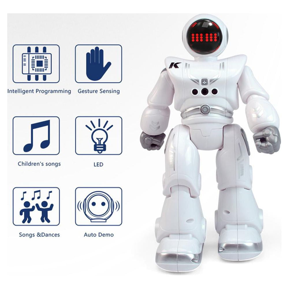 Dammyty Remote Control Robot Toy, Intelligent Programmable Walking and ...