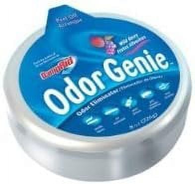 DampRid FG69H Odor Genie Odor Eliminator in Wild Berry, 8-Ounce ...