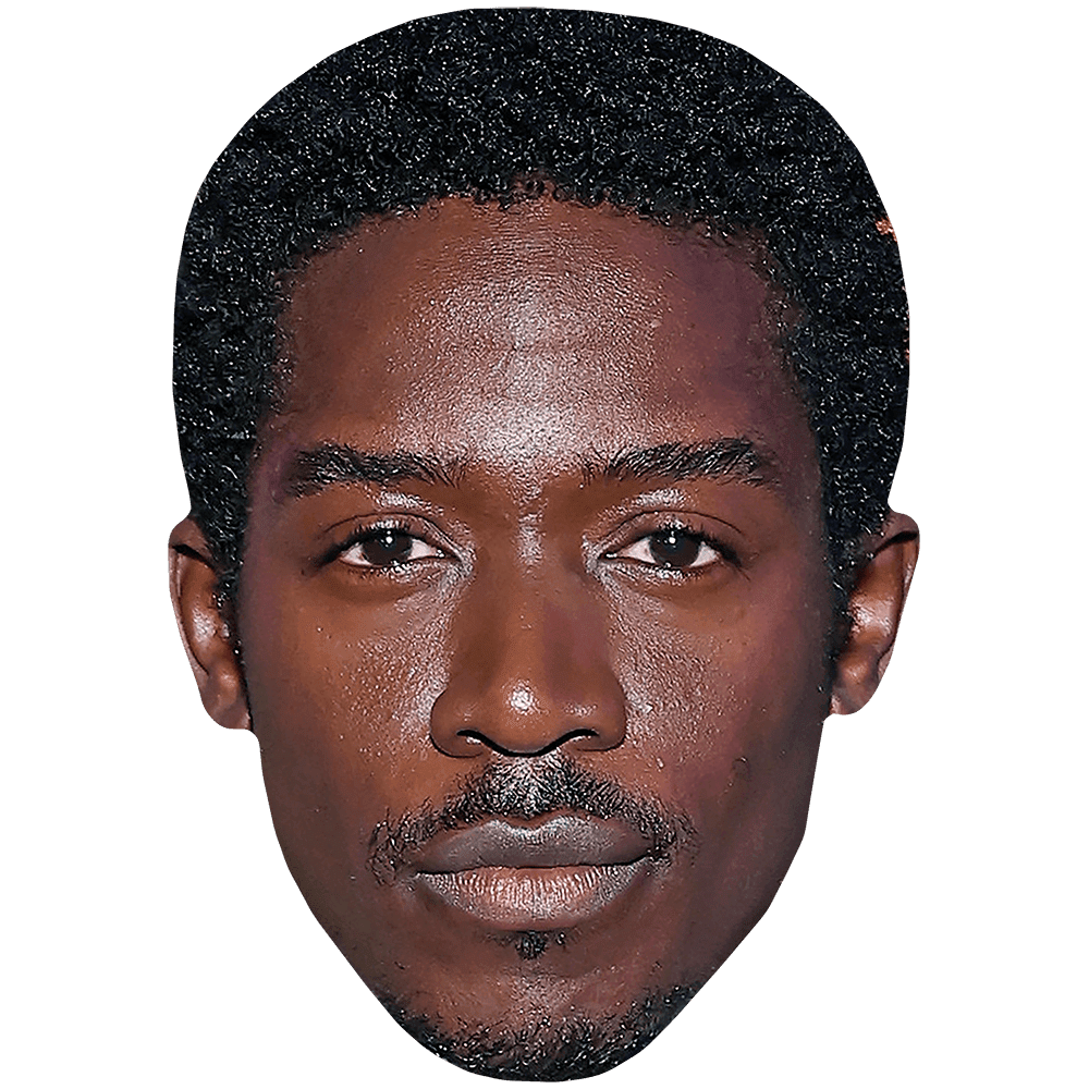 Damson Idris (Goatee) Celebrity Mask, Flat Card Face, Fancy Dress Mask ...