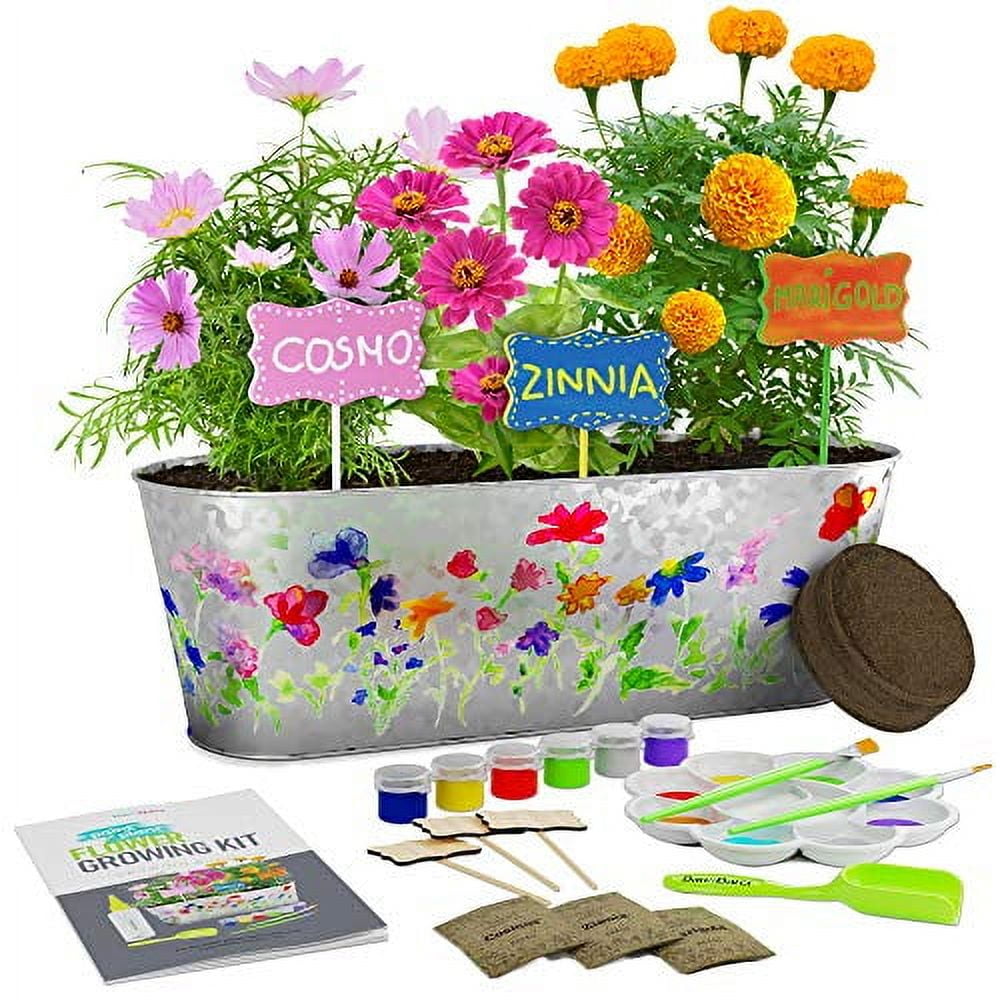 Dan&Darci DIY Build & Paint Plant Flower Growing Kit for Kids ...