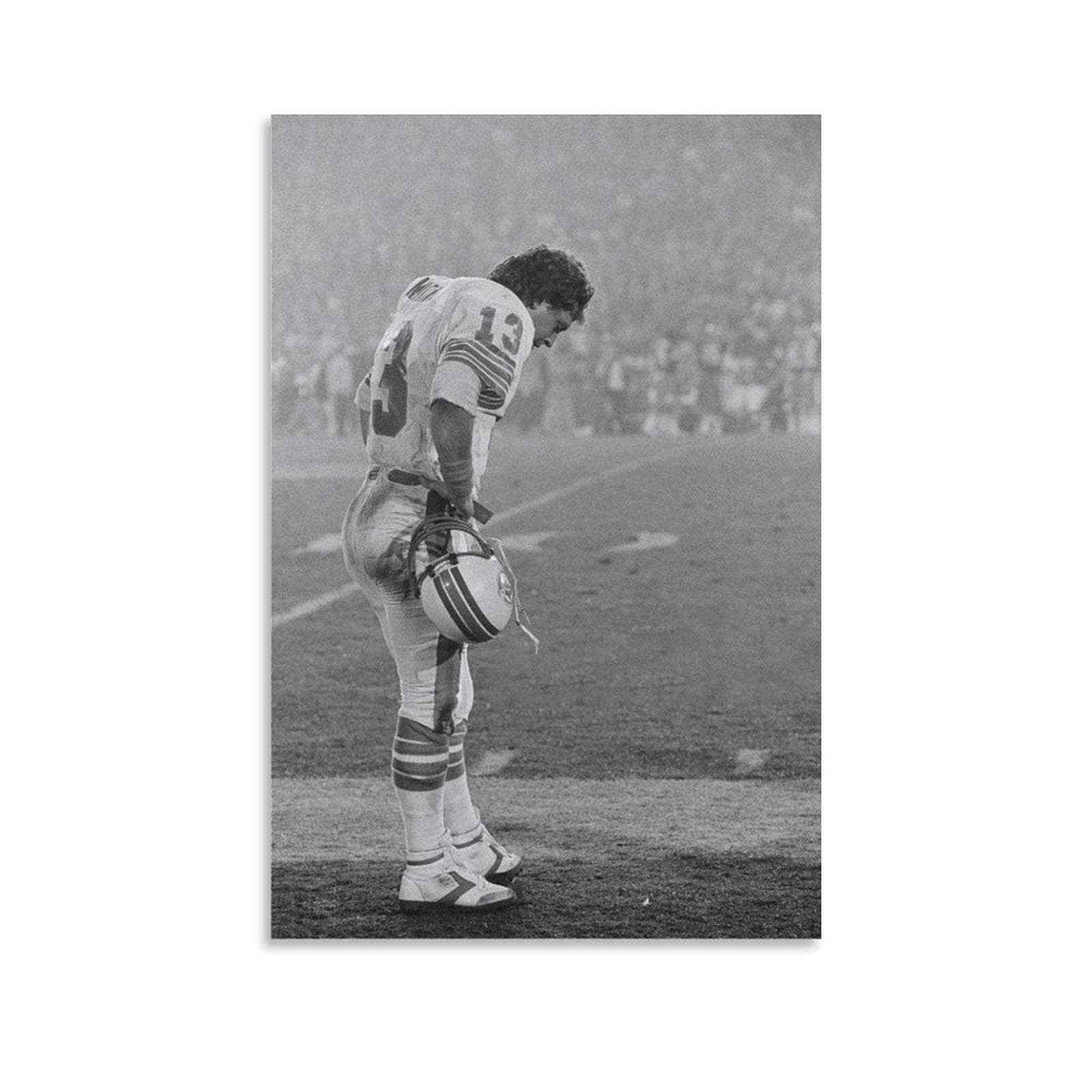 Dan Marino Football Poster Posters Art Print Wall Photo Paint Poster ...