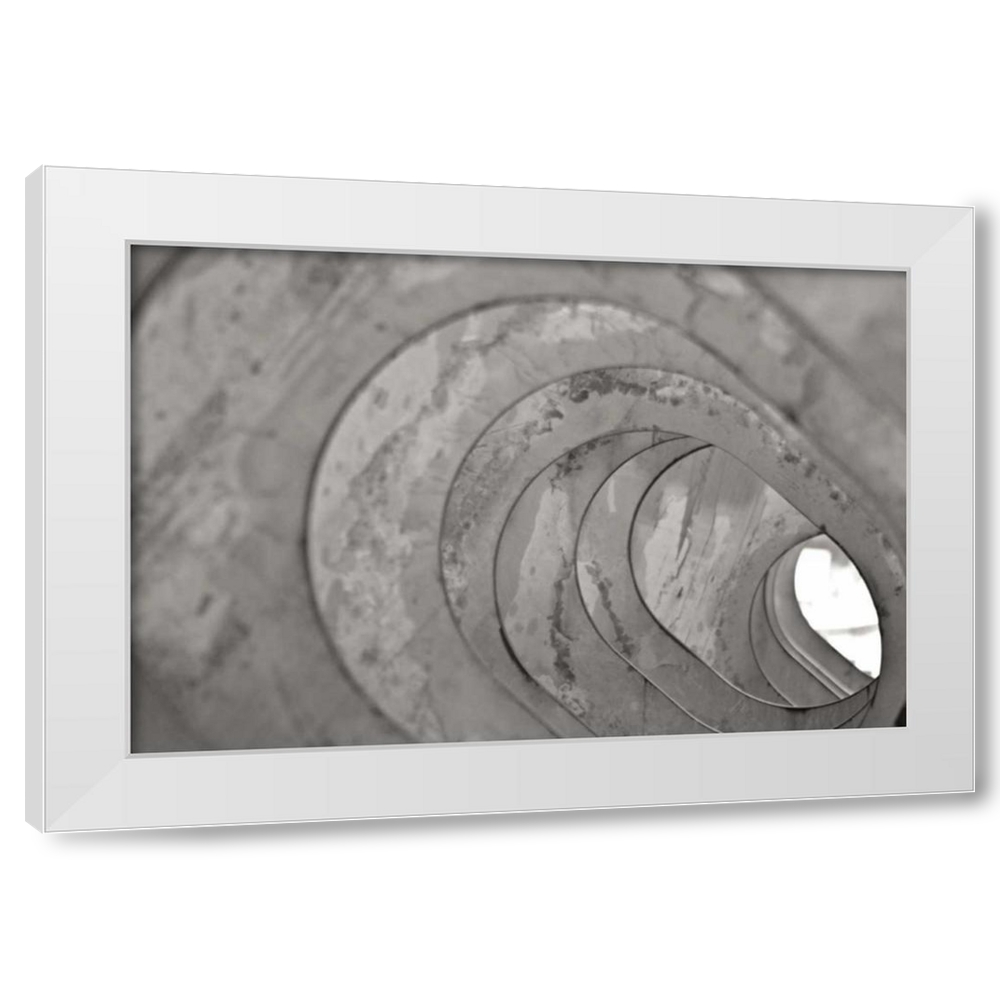 Dana Styber 14x11 White Modern Wood Framed Wall Art Titled - Oval ...