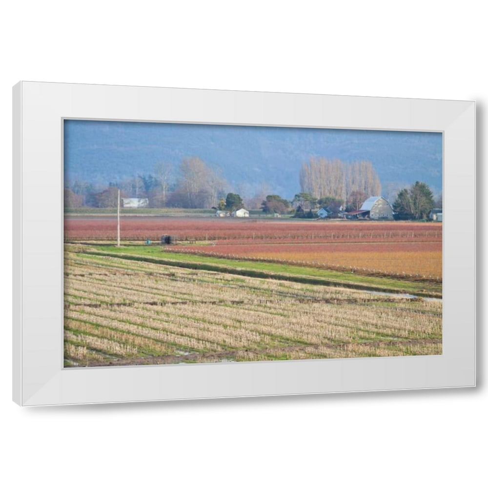 Dana Styber 14x11 White Modern Wood Framed Wall Art Titled - Red and ...