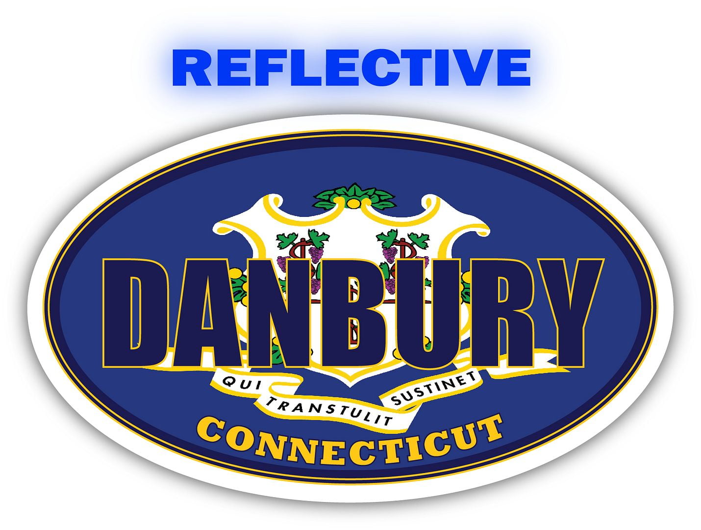 Danbury City Connecticut State Flag | CT Flag Fairfield County Oval ...