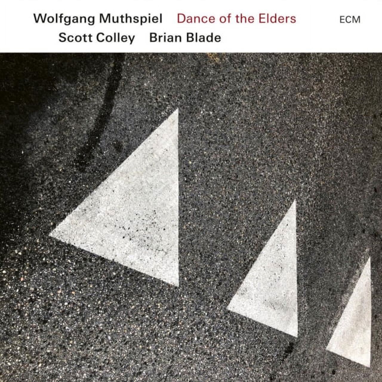 Dance of the Elders Wolfgang Muthspiel, Scott Colley & Brian Blade (Vinyl Record) - Walmart.com