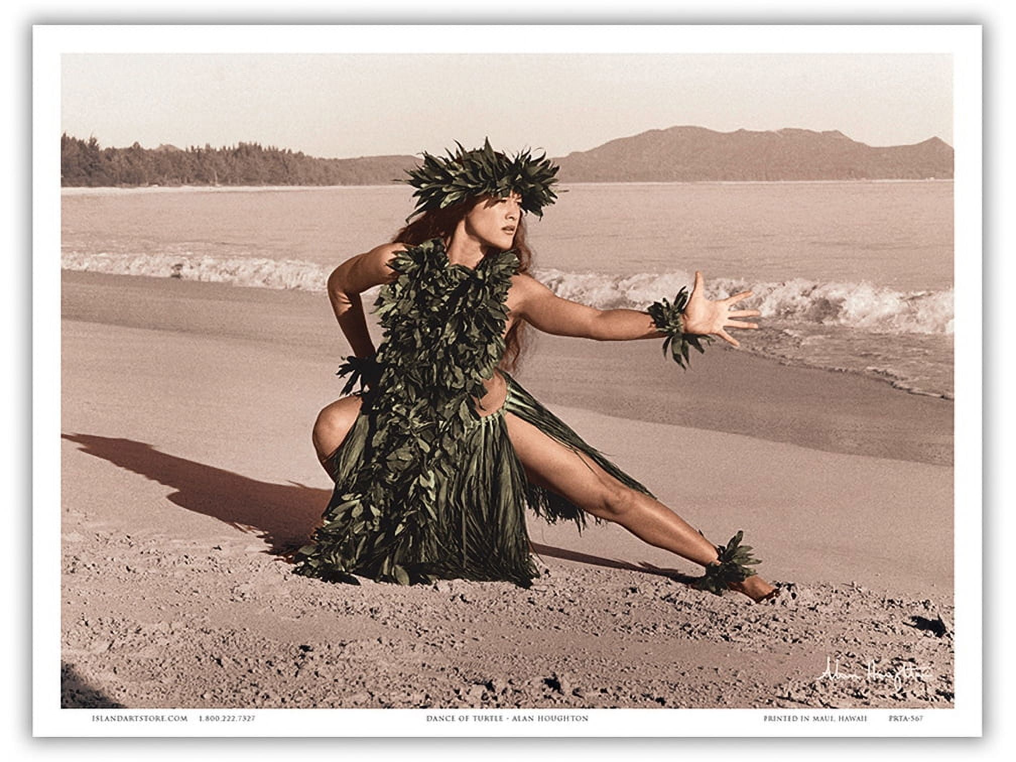 Dance of the Honu (Turtle) - Hawaiian Hula Dancer - Vintage Hand ...