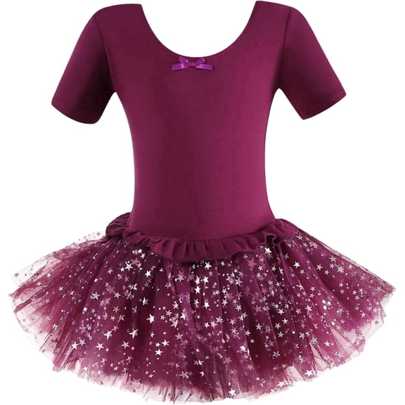 Girls Dance Tutu Dress with Short Sleeve Leotard and Skirt Set for ...