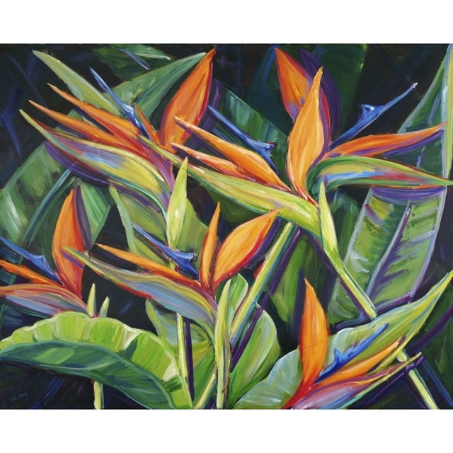 Dancing Birds Beautiful Cluster Of Bird Of Paradise Flowers . by Patti ...