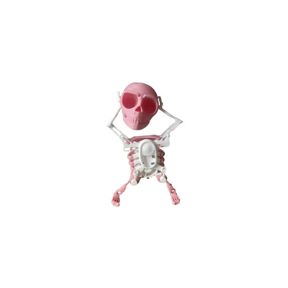 Dancing Skeleton Man Swinging Skeleton Toy Clockwork Printing Small Toy ...