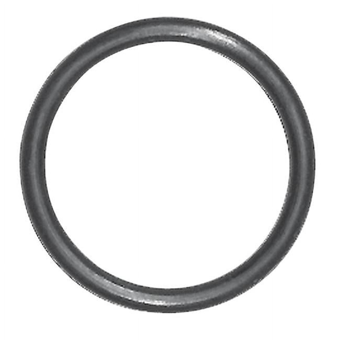 Danco 35767B Faucet O-Ring, #53, 5/8 in ID x 3/4 in OD Dia, 3/64 in ...