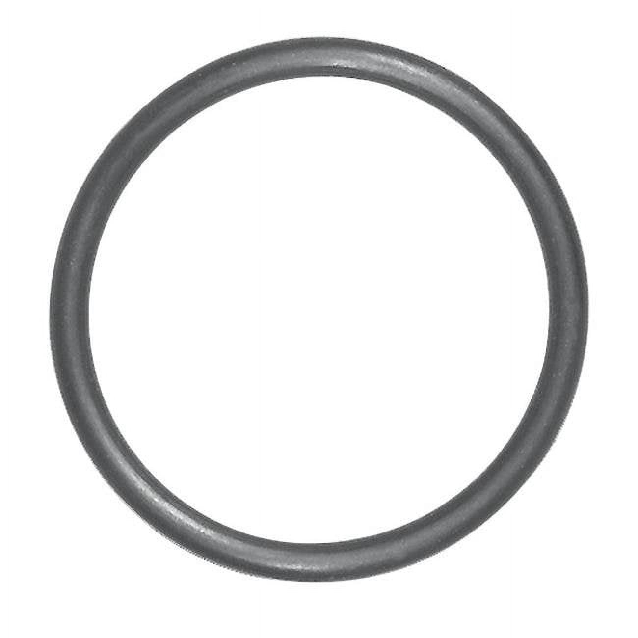Danco 35778B Faucet O-Ring, #64, 1-1/8 in ID x 1-5/16 in OD Dia, 3/32 ...