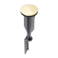 Proflo Pfwo903 Waste And Overflow Push / Pull Stopper Only - Chrome ...