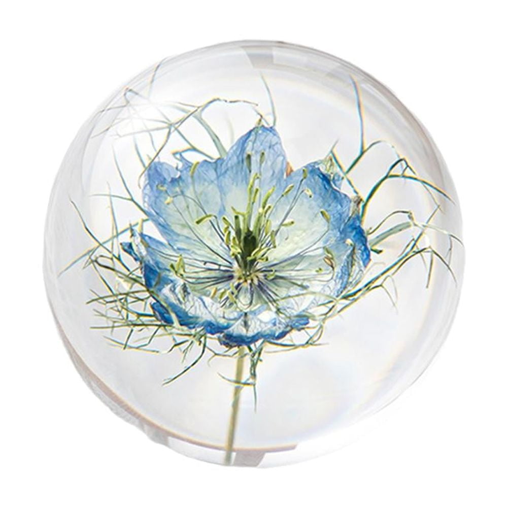 Dande*lion Paperweight - Crystal Resin Ball Home Decor, Resin Dande ...