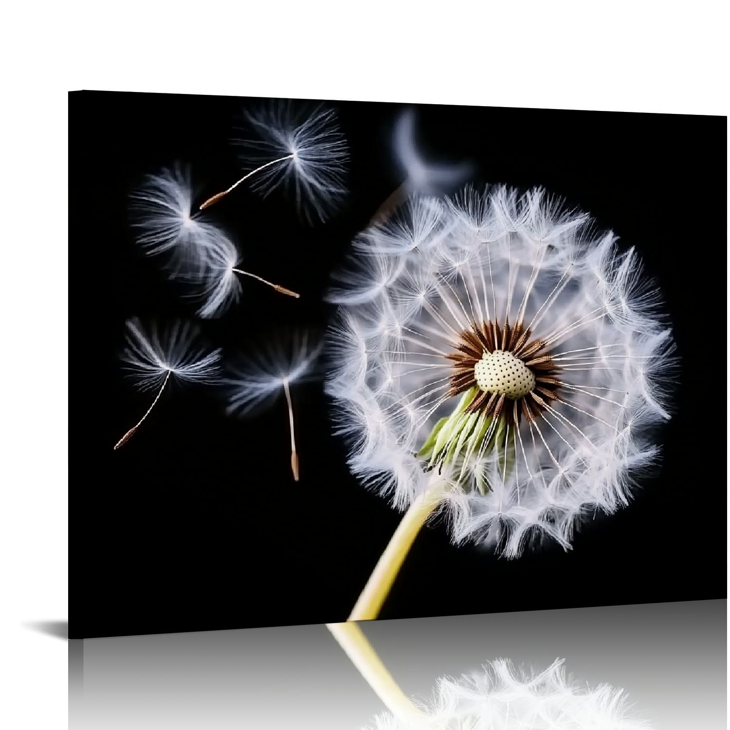 Dandelion Blowing by Bess Hamiti, 16x24-Inch Canvas Wall Art - Walmart.com