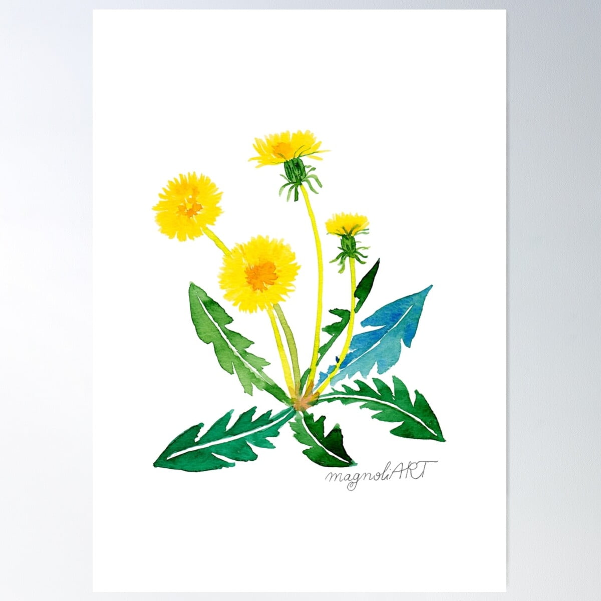 Dandelion Botanical Watercolor Artwork Poster Wall Art, Modern Wall ...