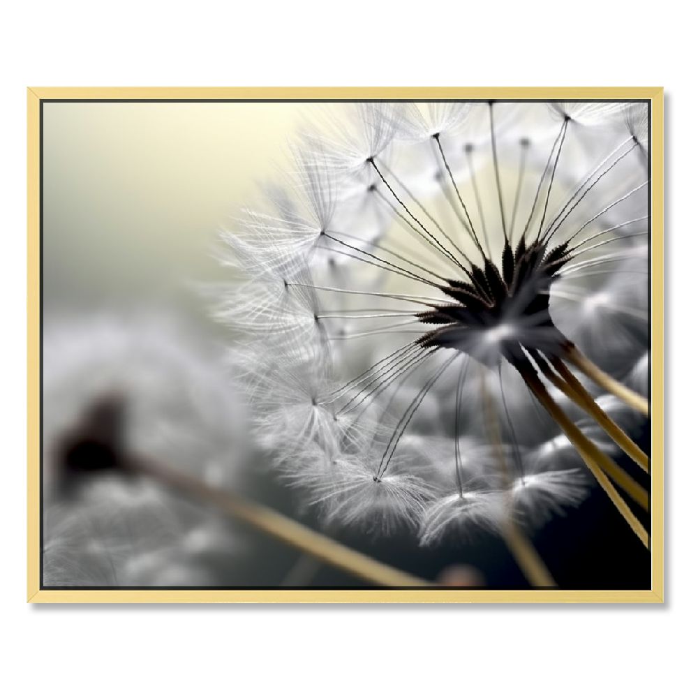Dandelion Canvas Wall Art Black White Flower Painting Floral Closeup ...