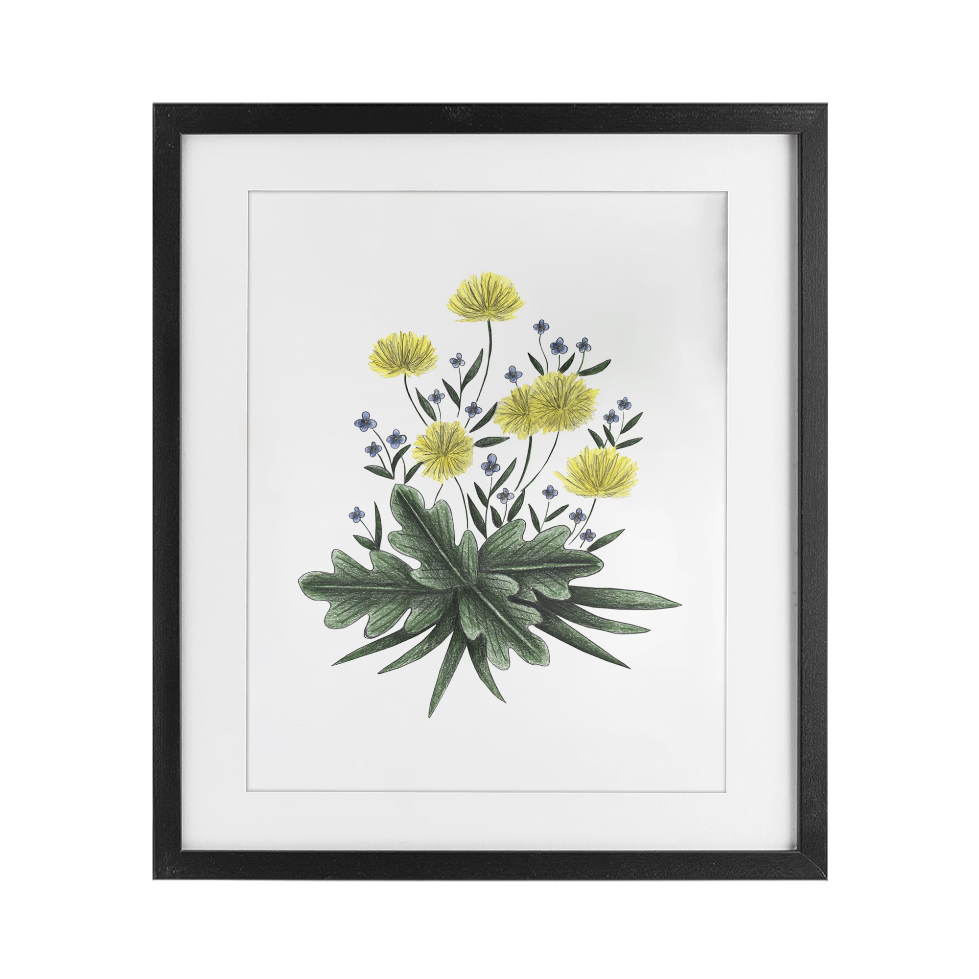 Dandelion Flower Illustration Black Framed Print Under Glass, design by ...