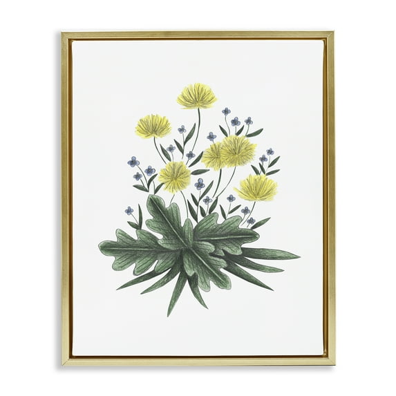 Dandelion Flower Illustration Gold Framed Floater Canvas Wall Art ...