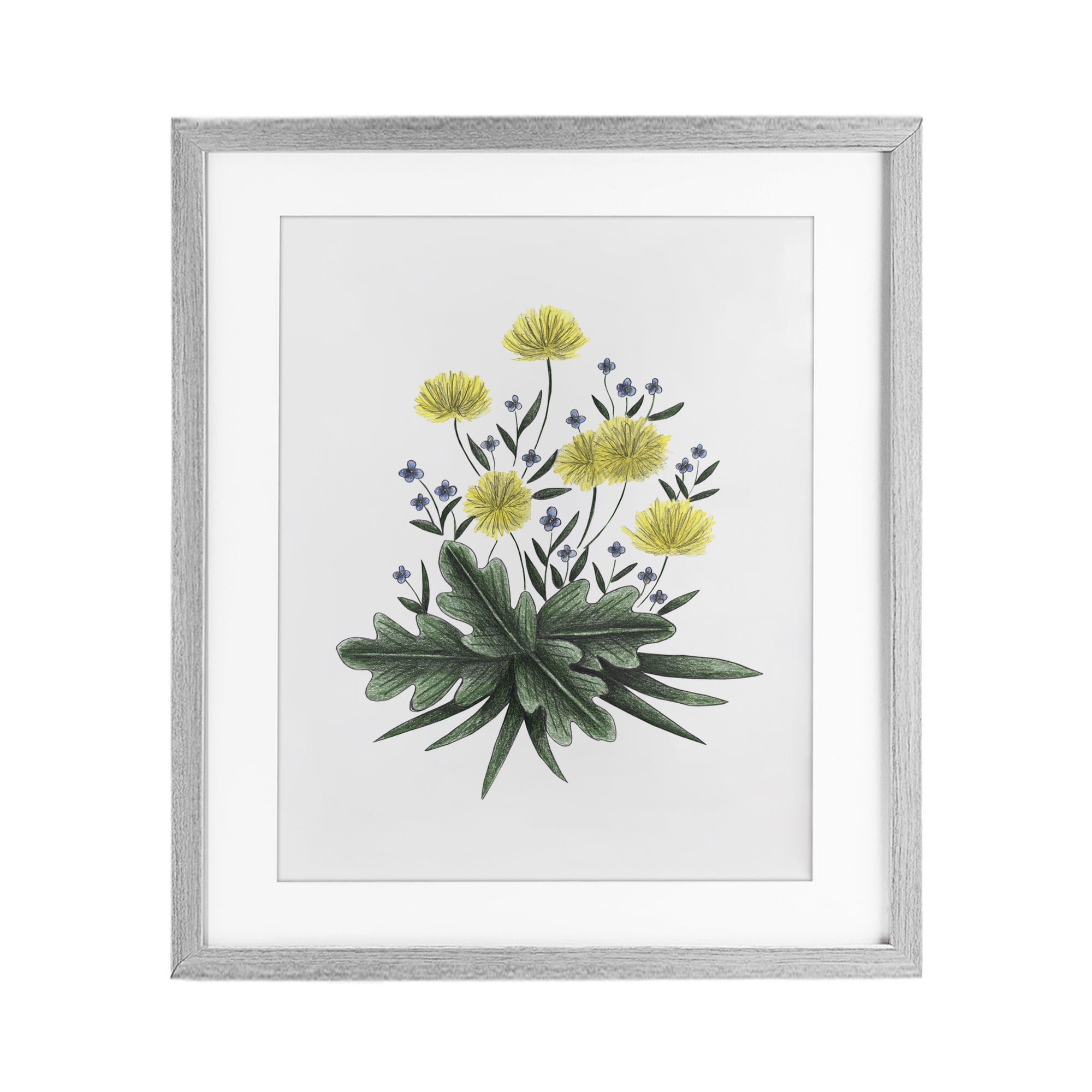 Dandelion Flower Illustration Gray Framed Print Under Glass, design by ...