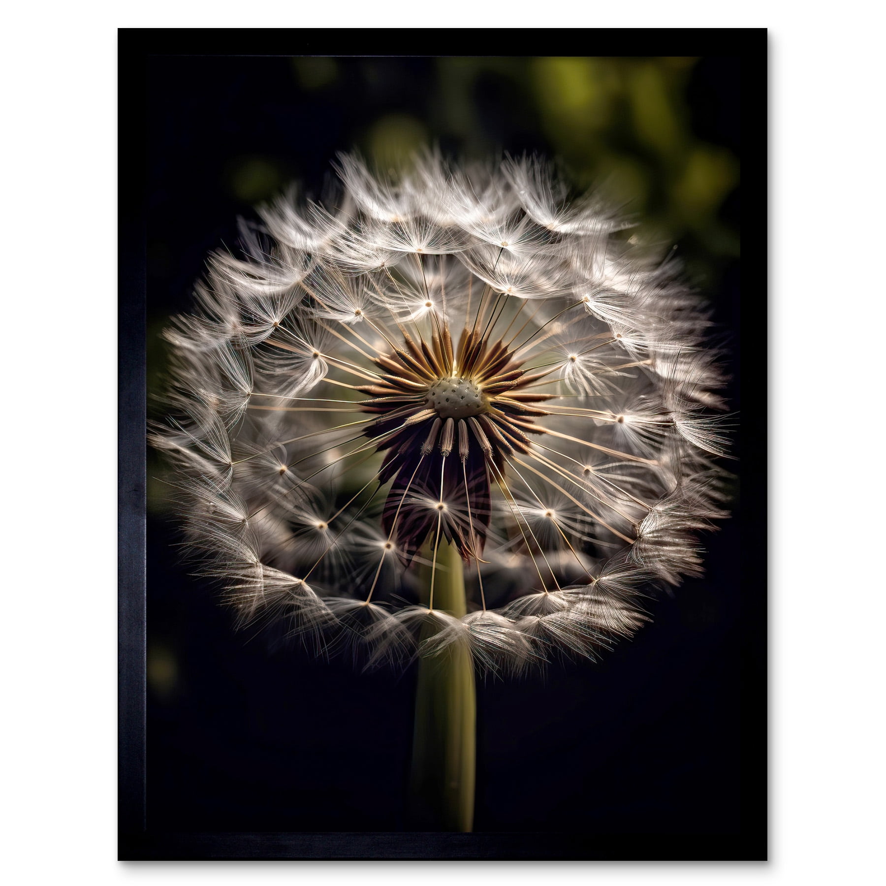 Dandelion Flower Pappus Macro Photograph Dark Close Up Detail Art Print Framed Poster Wall Decor ...