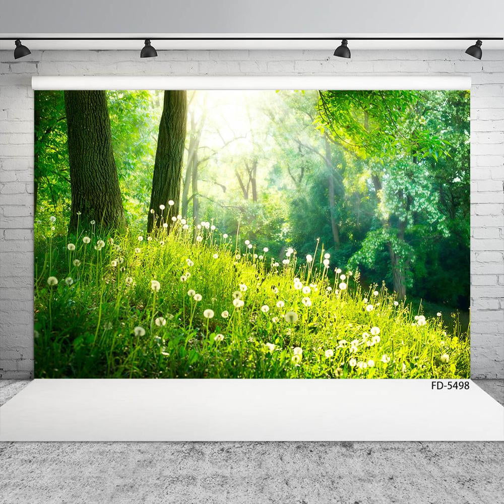 Dandelion Grass Trees Sunshine Photography Background Customized ...