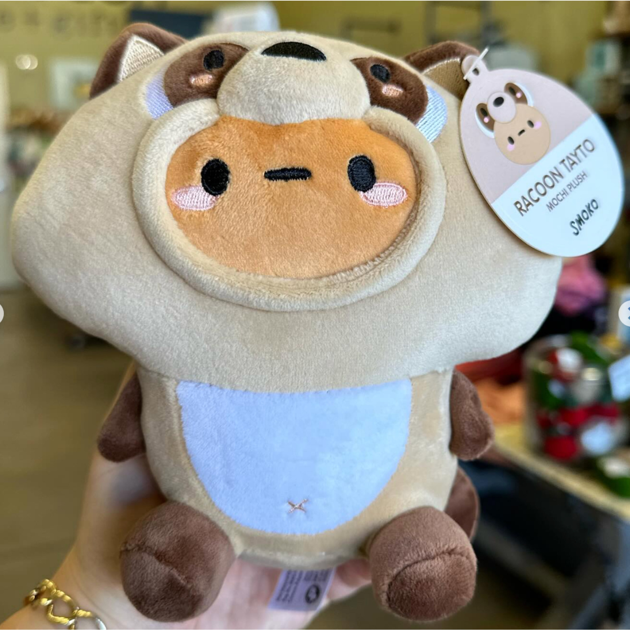 Dandelion Home + Gift Racoon Tayto Plush - Walmart.com