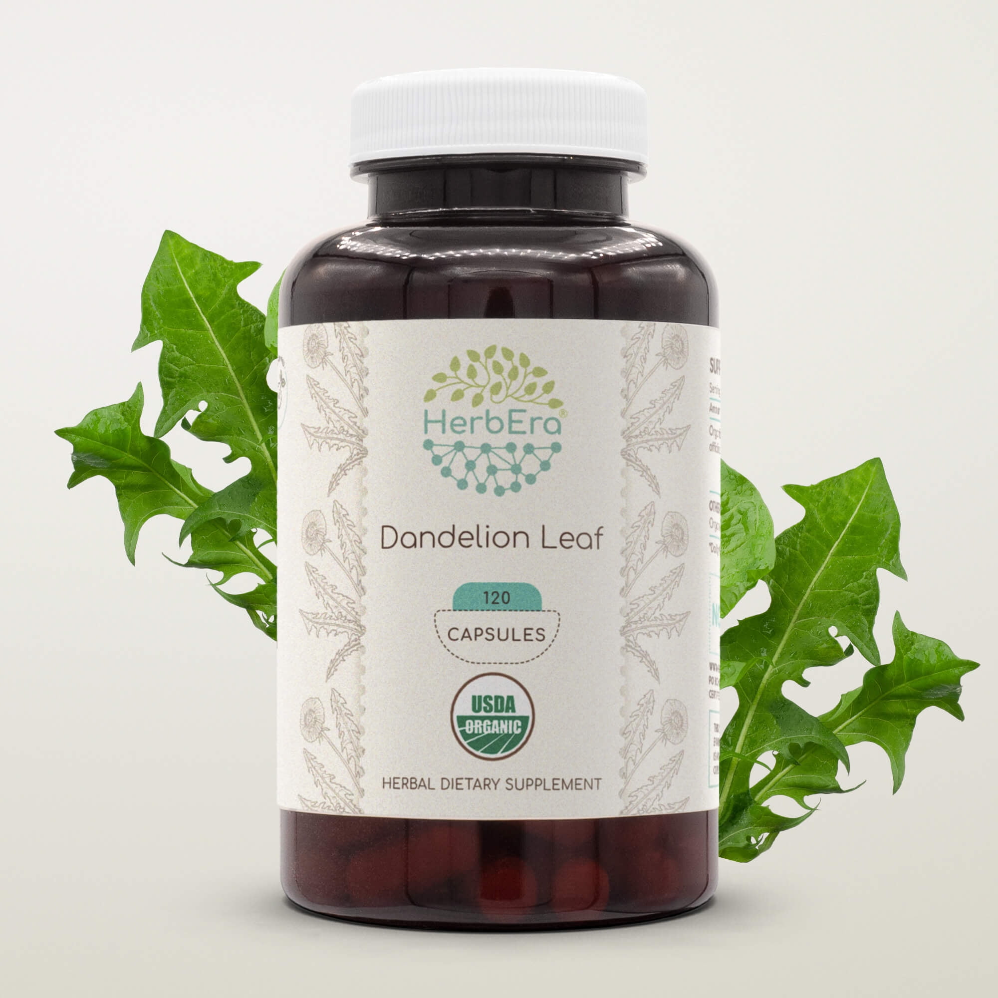 Dandelion Leaf 120 Capsules, 500 mg, Organic Dandelion (Taraxacum ...