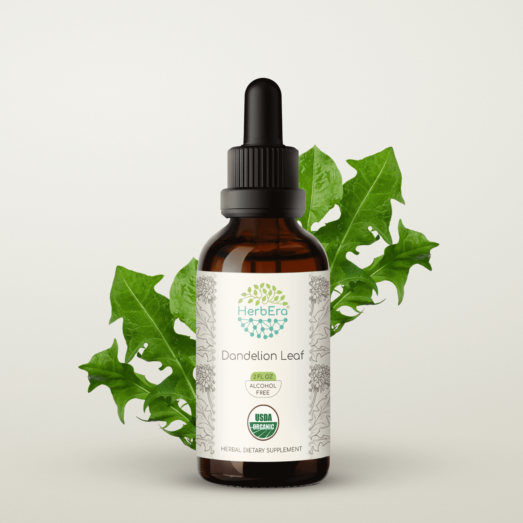 HerbEra Dandelion Leaf Tincture, Organic Herbal Dietary Supplement for ...