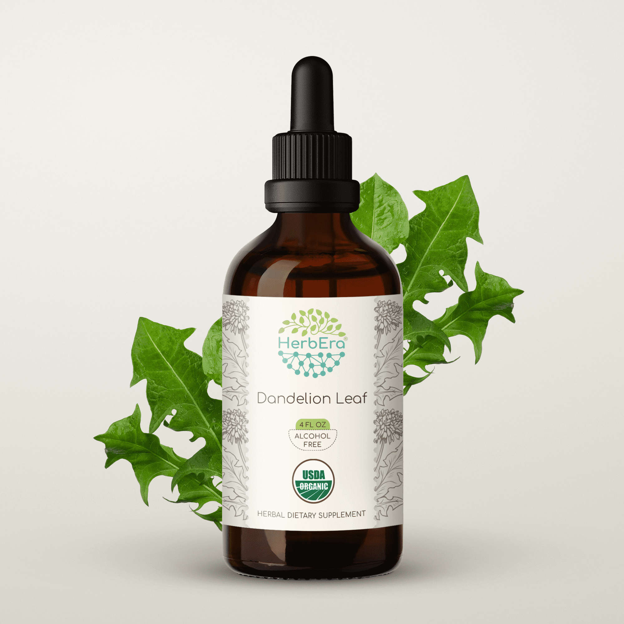 Dandelion Leaf Alcohol-FREE Herbal Extract Tincture, Super-Concentrated ...