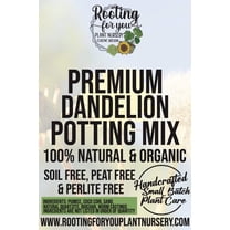 Lily Premium Potting Mix - Walmart.com