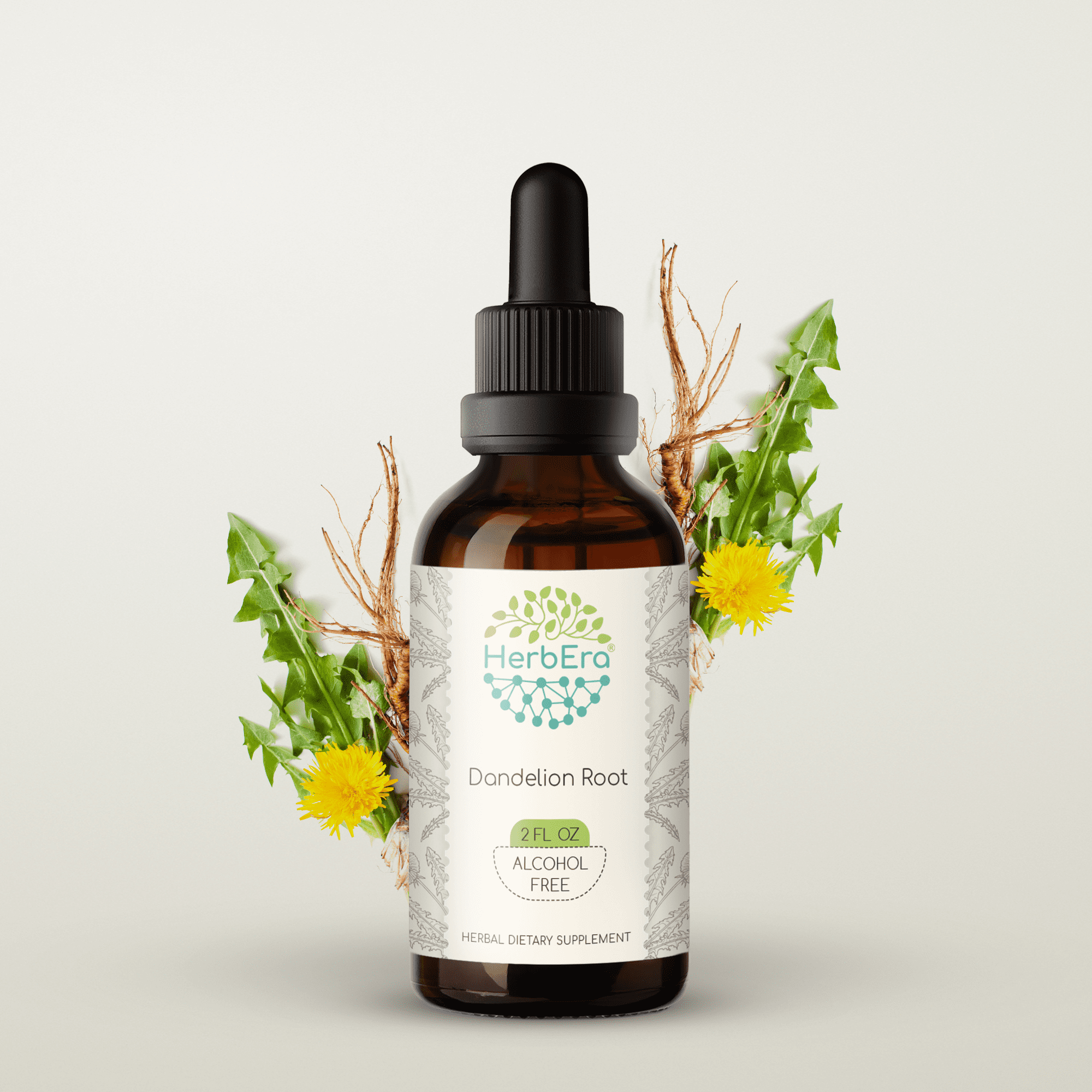 Dandelion Root Alcohol-FREE Herbal Extract Tincture, Super-Concentrated ...