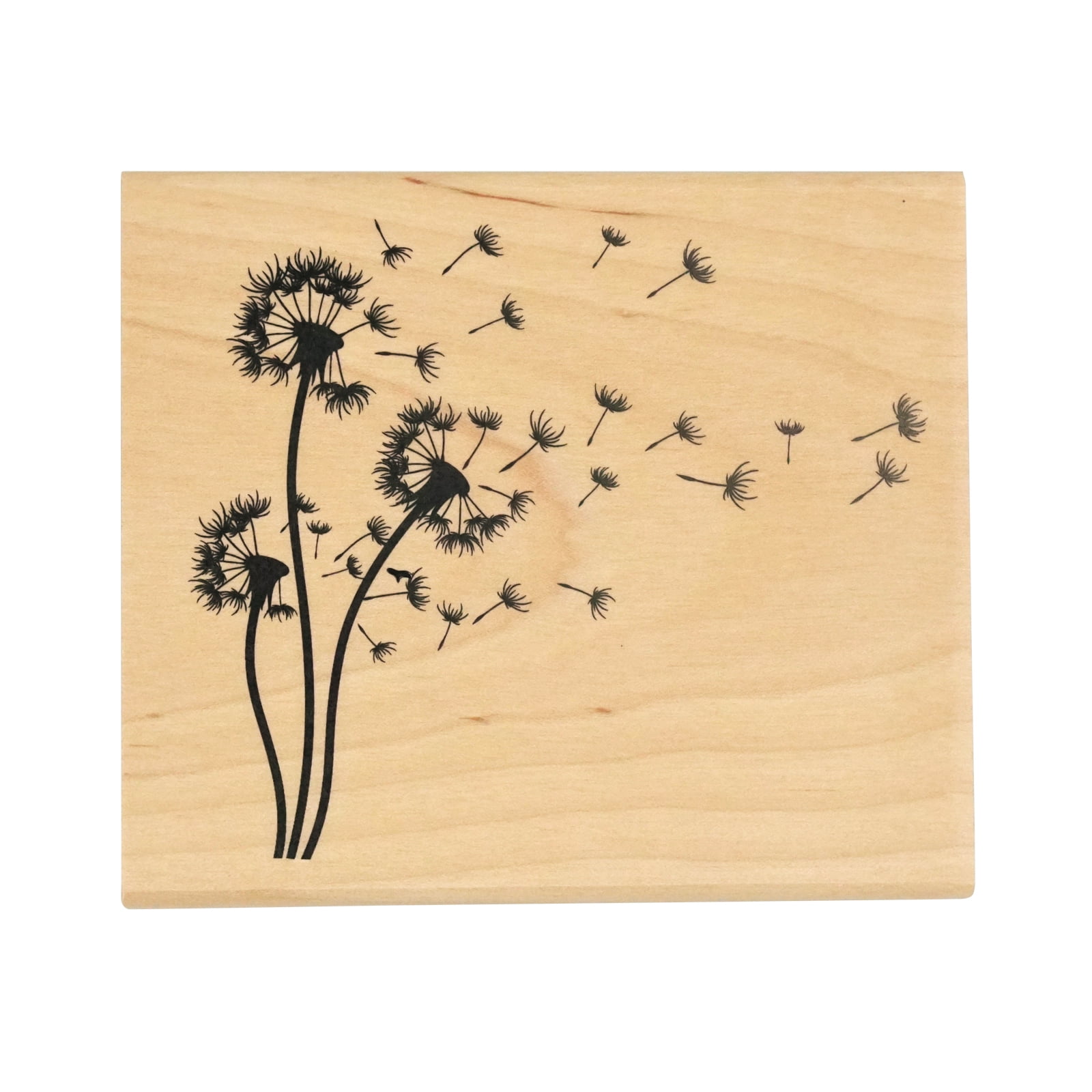 Dandelion Stamp by Recollections™ - Walmart.com