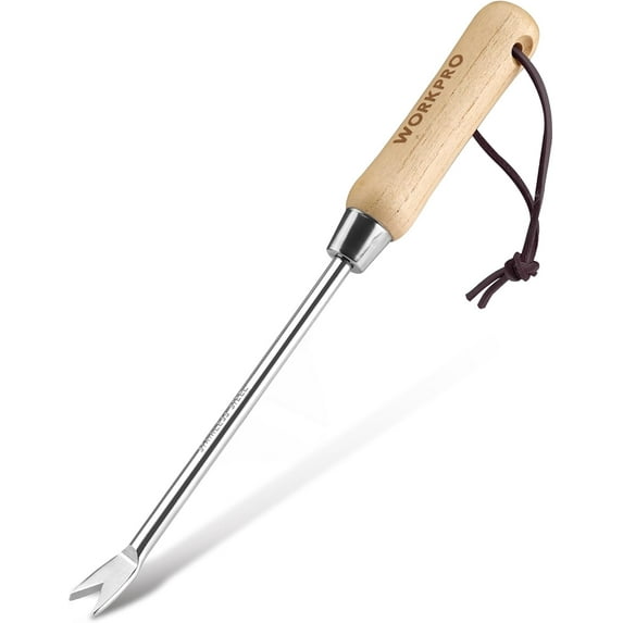 Dandelion Weeder Puller Tool with Wood Handle, Polished Stainless Steel ...