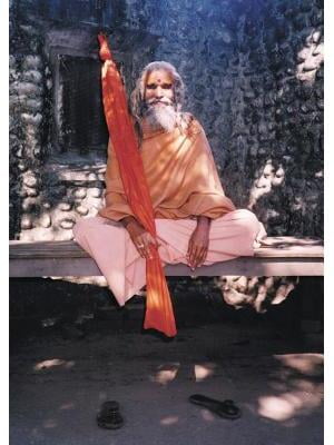 Dandi Swami : The Story of the Guru's Will, Maharishi Mahesh Yogi, the ...