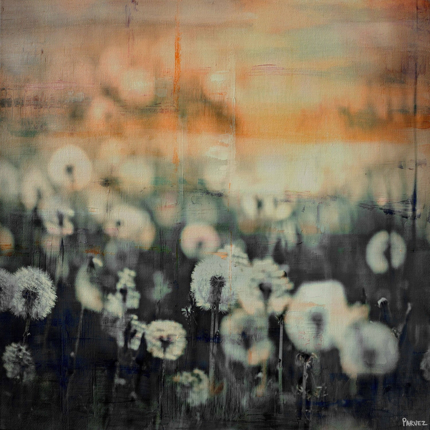 "Dandy Puff Meadow" Painting Print on Wrapped Canvas - Walmart.com