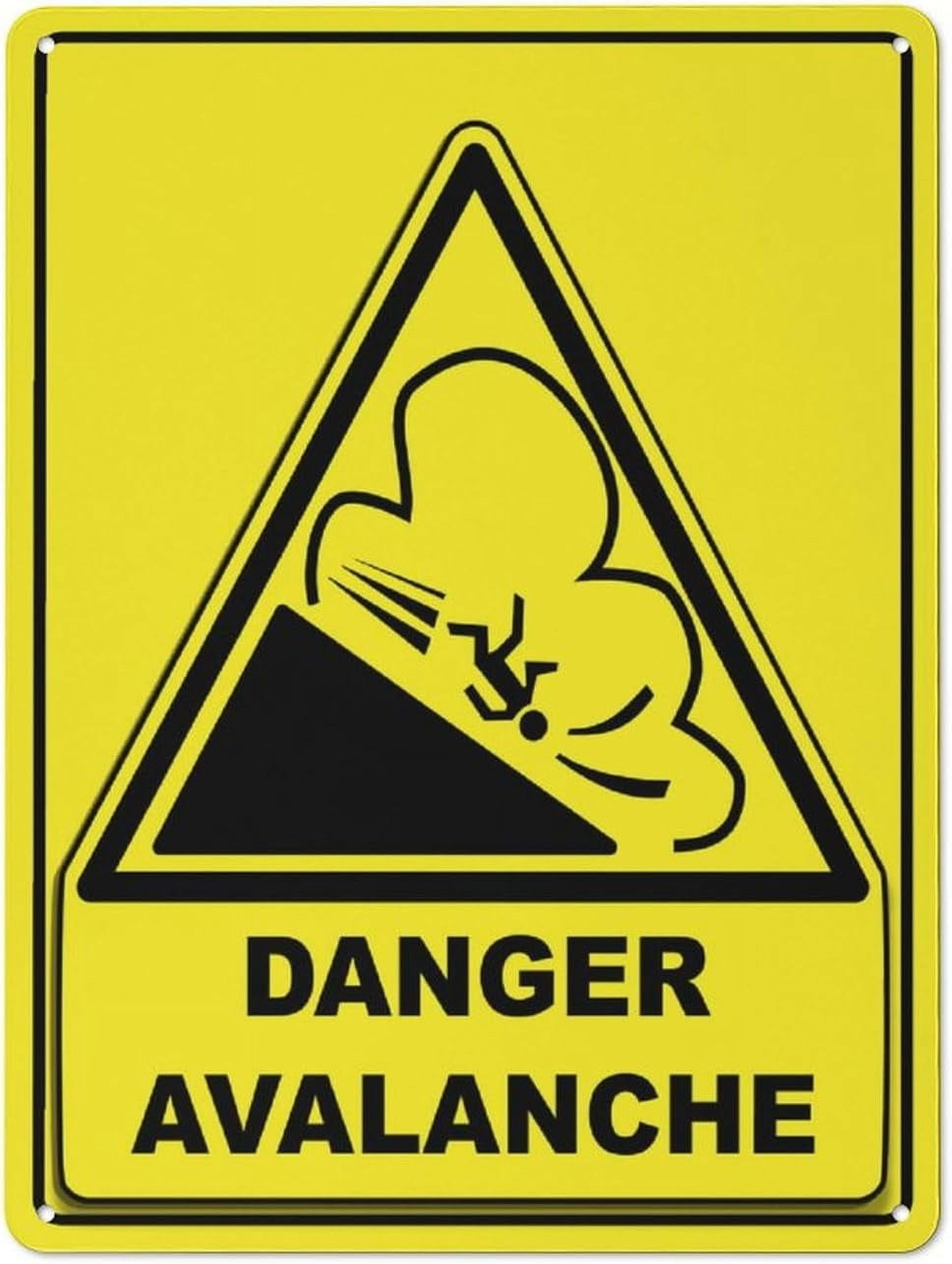 Danger Avalanche Aluminum Sign Fade Resistant Easy Mounting Indoor ...