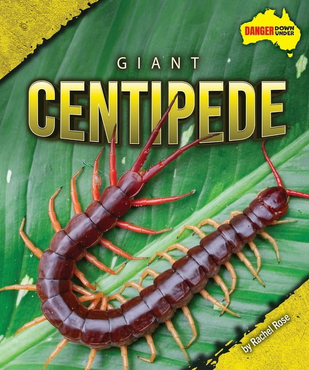 Danger Down Under Giant Centipede, (Hardcover) - Walmart.com