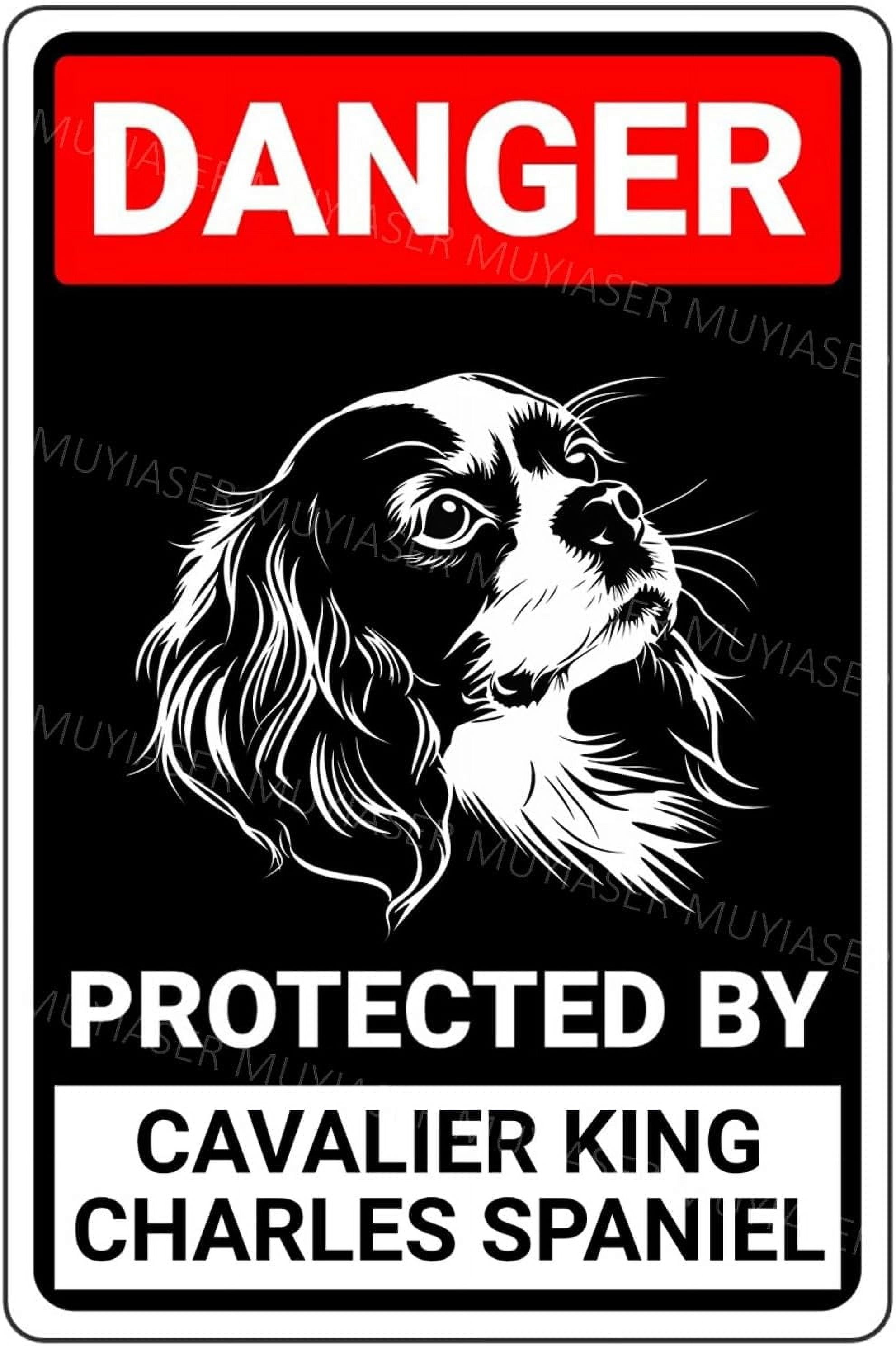 Danger Protected By Cavalier King Charles Spaniel Aluminum Metal Tin ...