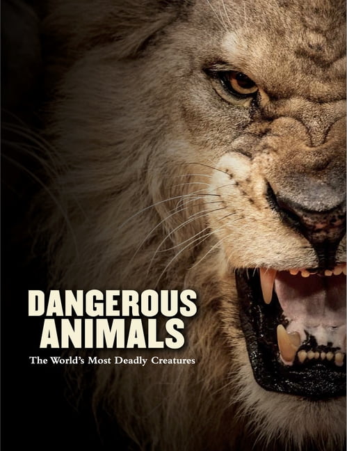 Animals in Photographs Dangerous Animals, (Hardcover) - Walmart.com