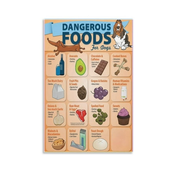 Dangerous Foods Infographic of Foods Harmful to Dogs Healthy Eating for ...